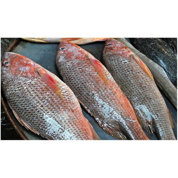 koral fish 1kg - Dokani